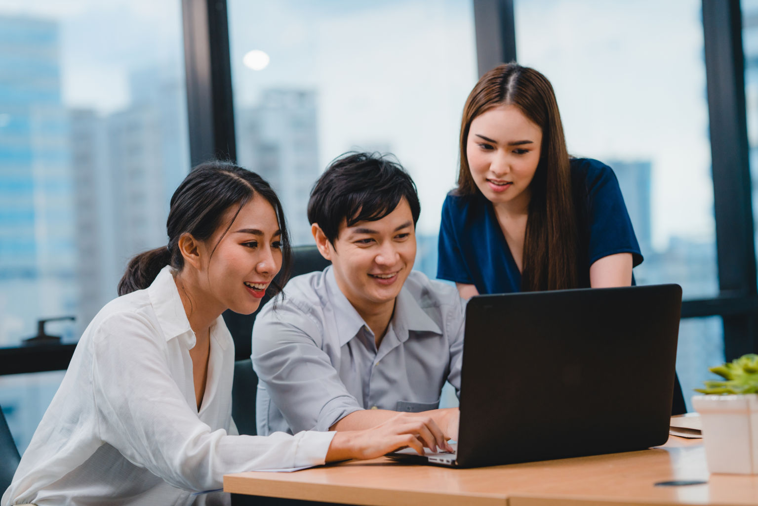 The Company – eCOM